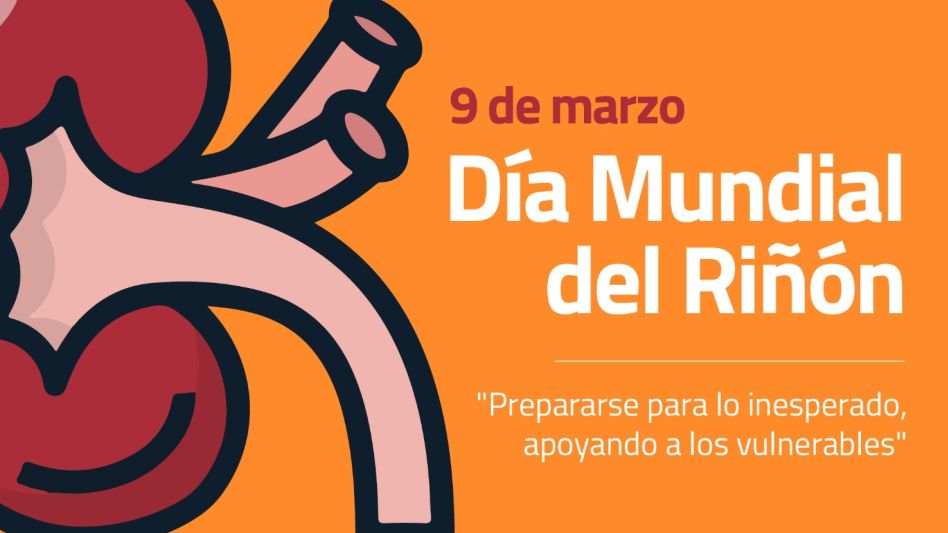 Día Mundial Del Riñón